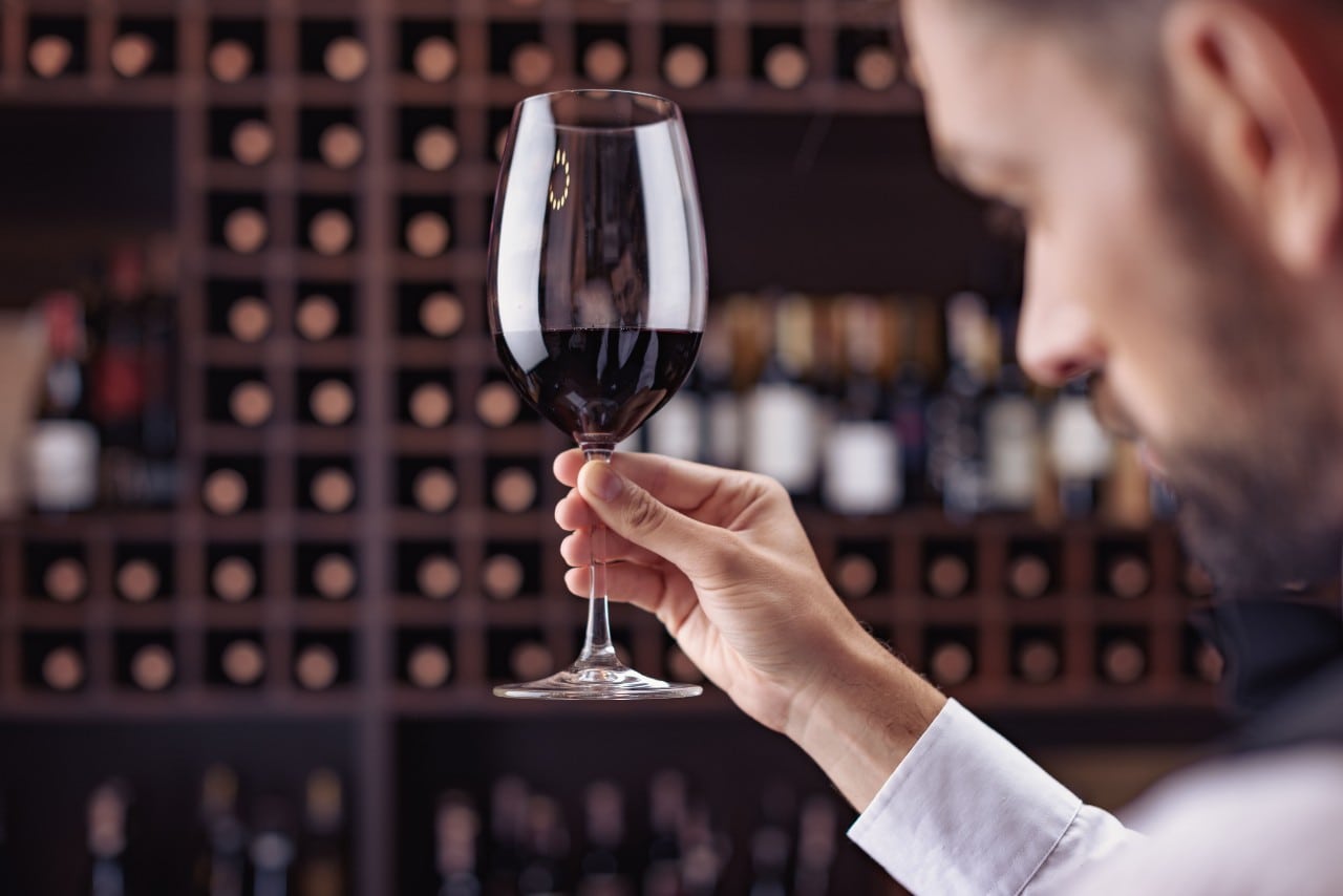 Top Wine Tasting Tips For When Visiting a Vineyard in Portugal | The ...